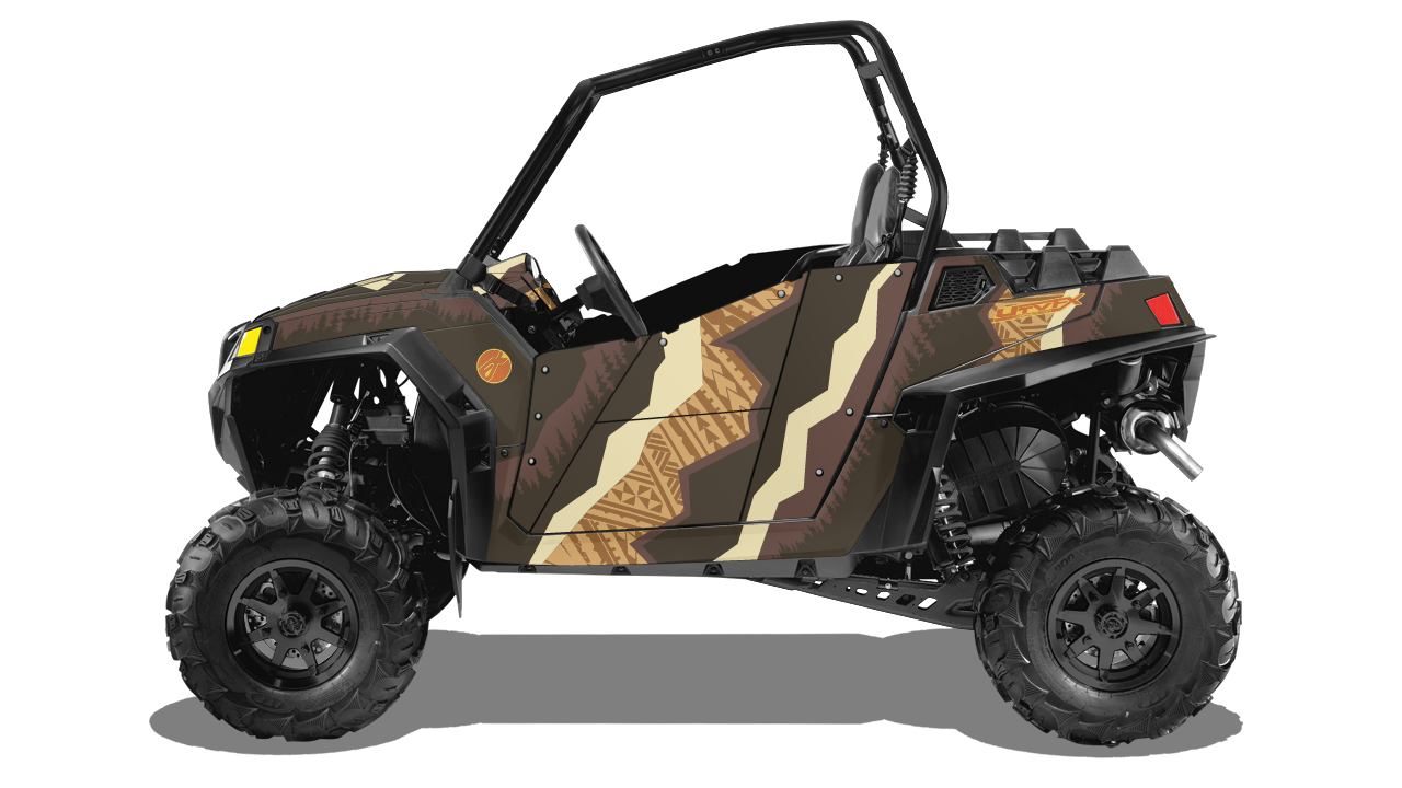 RZR 2-Door [2008-2020]